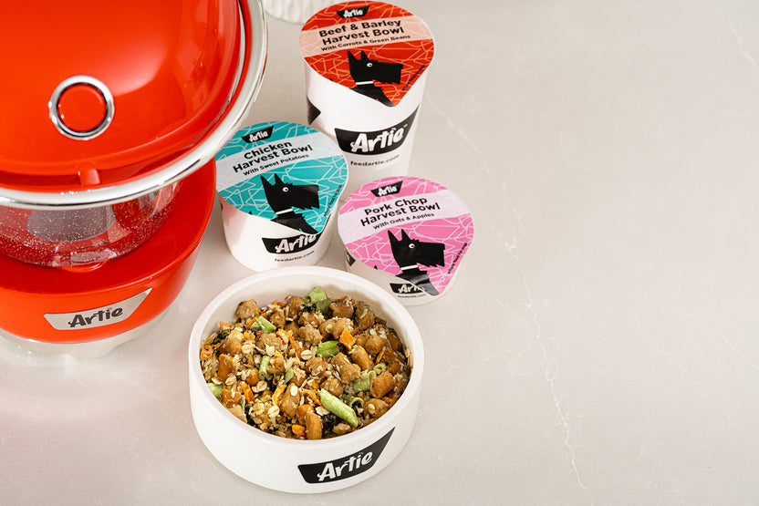 Artie: Warm, Home-Cooked Meals for Dogs at the Touch of a Button