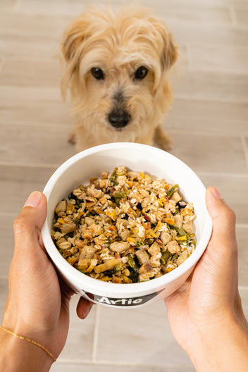 Warm Home-Cooked Meals for Your Dog: See How It Works – Artie